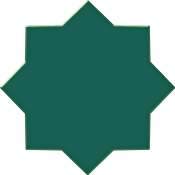 Star Tile by sTiles with Unique & Eye-Catching Designs